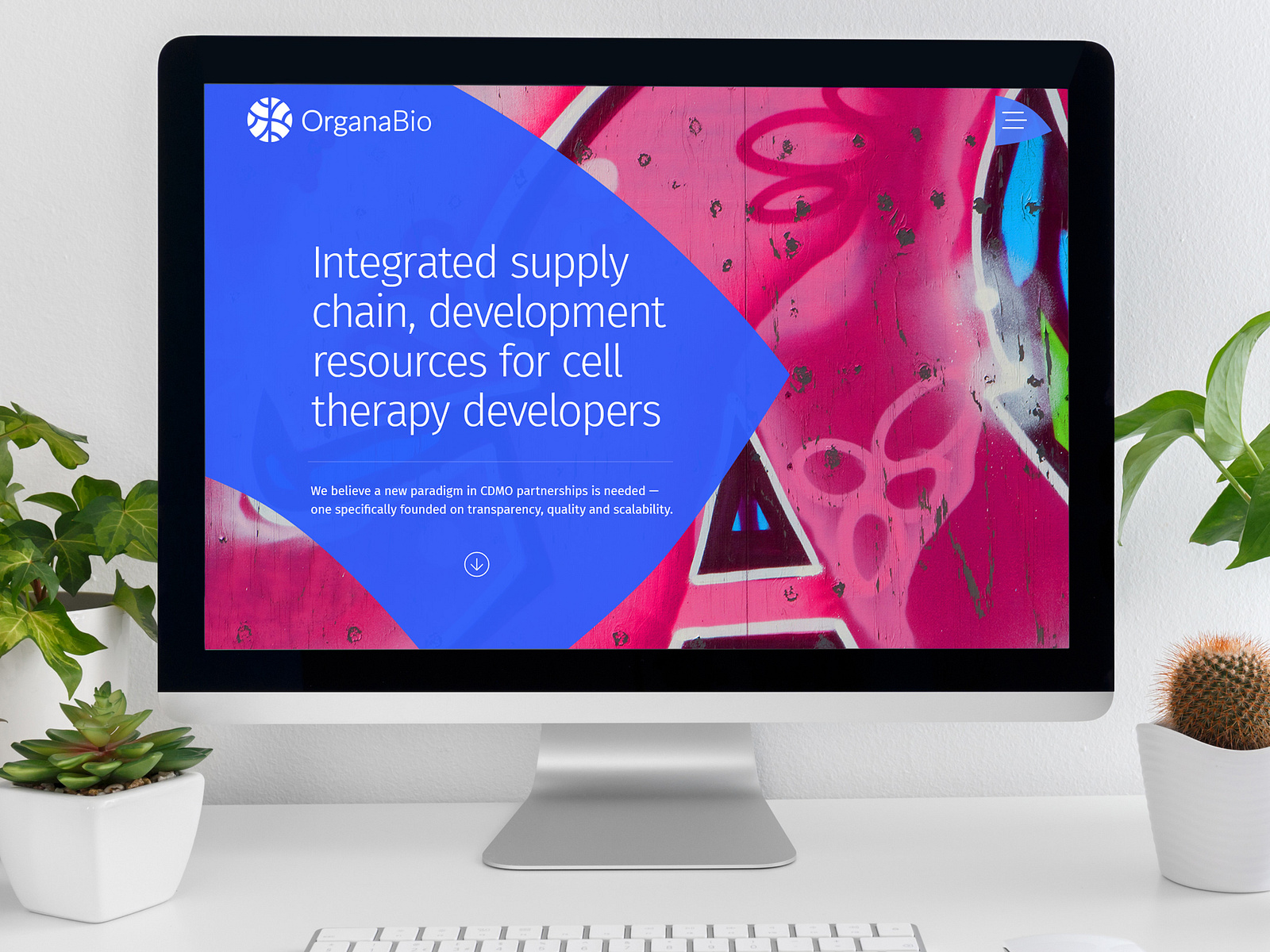 Website Design for Biotechnology CRO / CDMO by Ladybugz Interactive ...