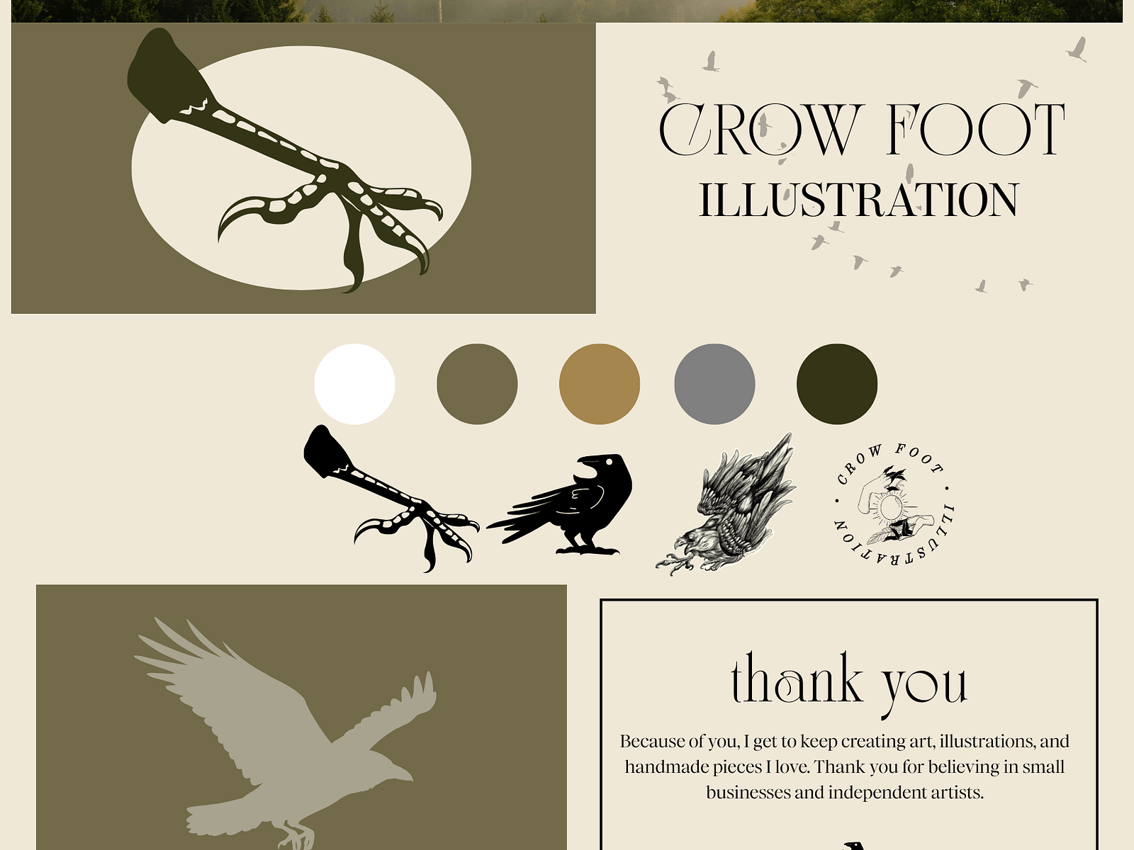 Crow Foot Illustration Branding Guidelines by Isabel Loggins on Dribbble