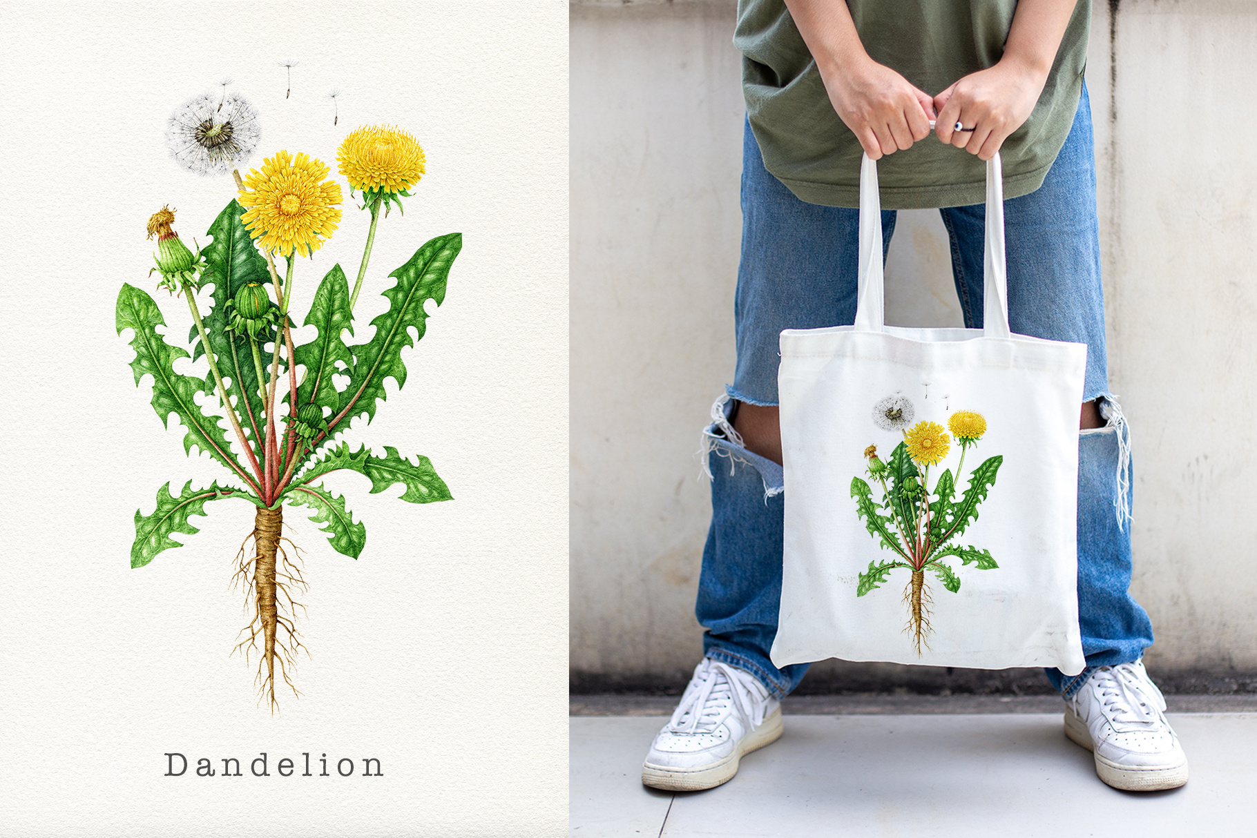 Hand Drawn Watercolor Medicinal Herbs Botanical Illustrations by Anna ...