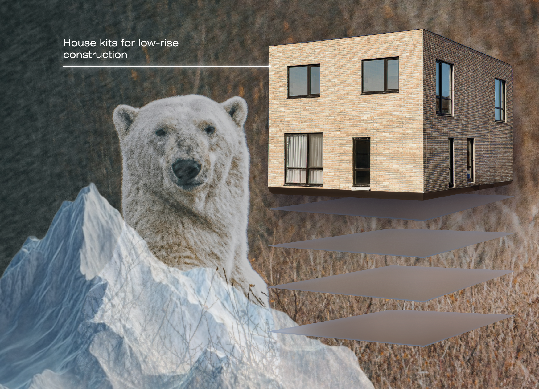 DEVELOPMENT OF LOW-RISE CONSTRUCTION IN CHUKOTKA by Eva Timchenko on ...