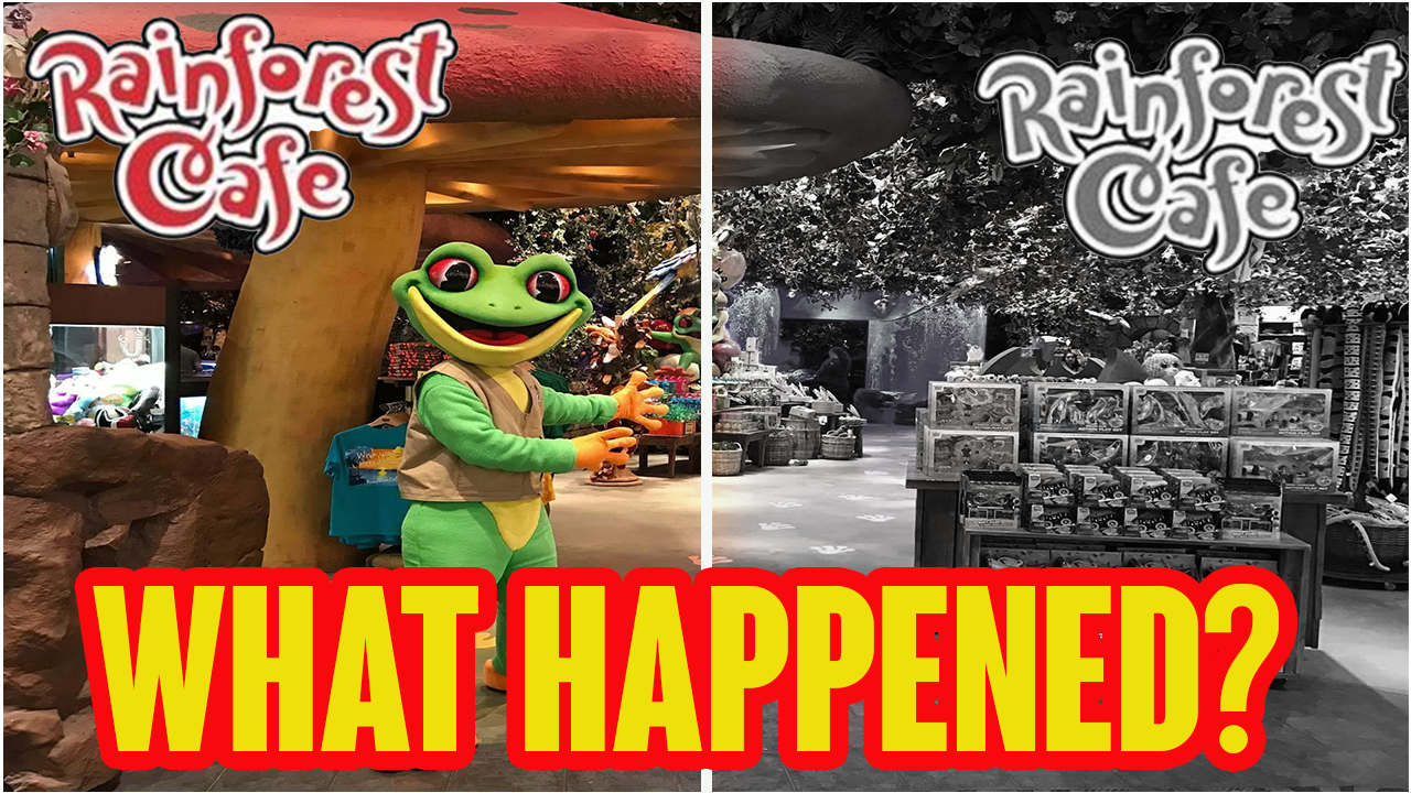 Video Title: "The Strange Decline of Rainforest Cafe" by Umar Kayani on Dribbble