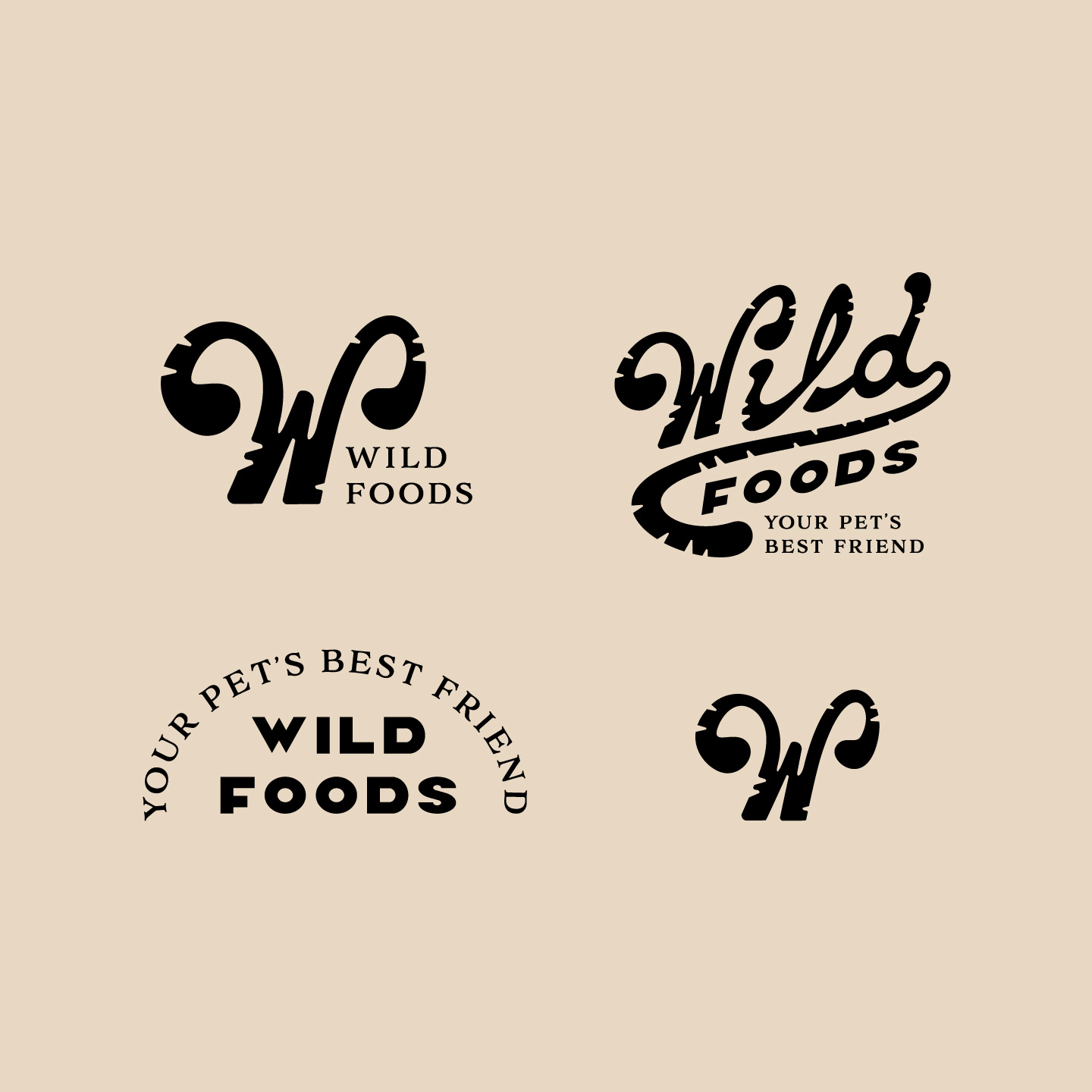 Wild Foods by Jessie Maisonneuve on Dribbble