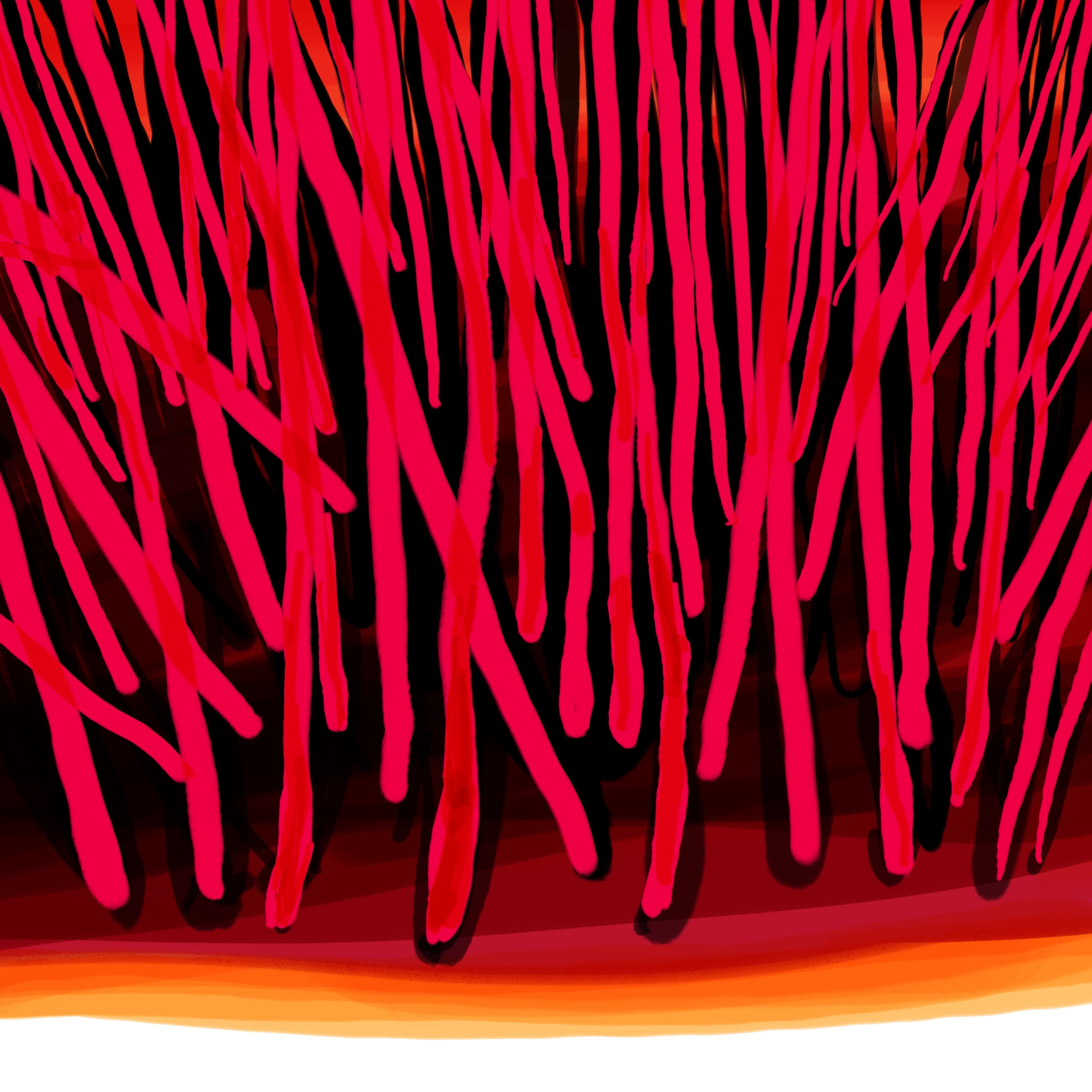 Strange little drawings by anjana lohithakshan on Dribbble