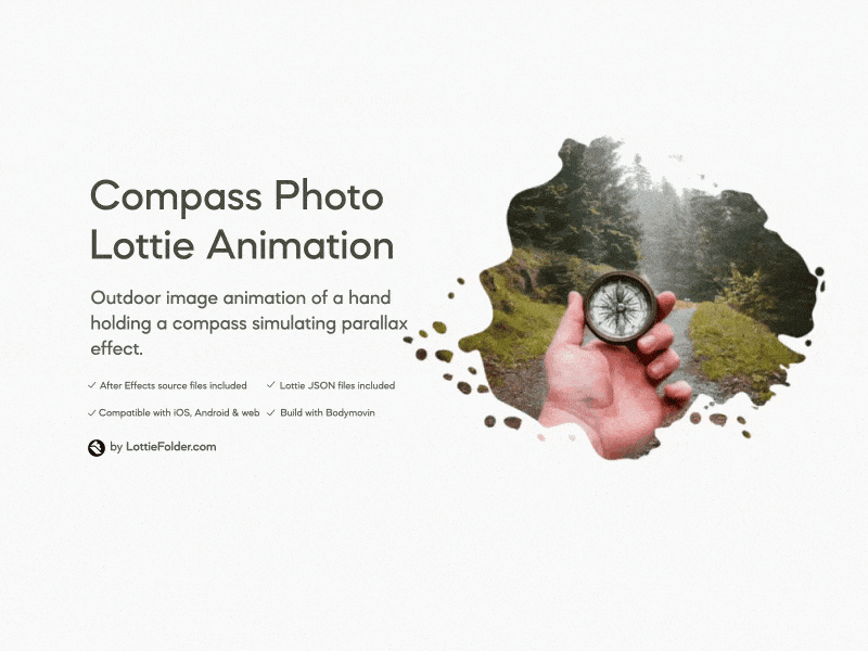 Compass Lottie animations by lottiefolder | Dribbble