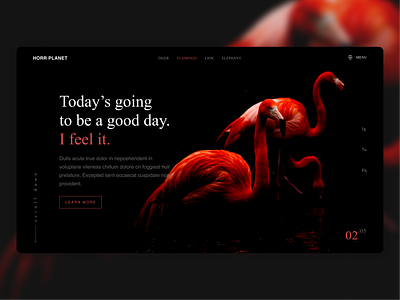 Birdspecies designs, themes, templates and downloadable graphic ...