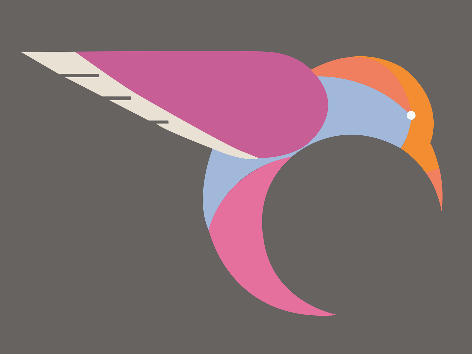 Bird Illustration By Talha Ashraf On Dribbble