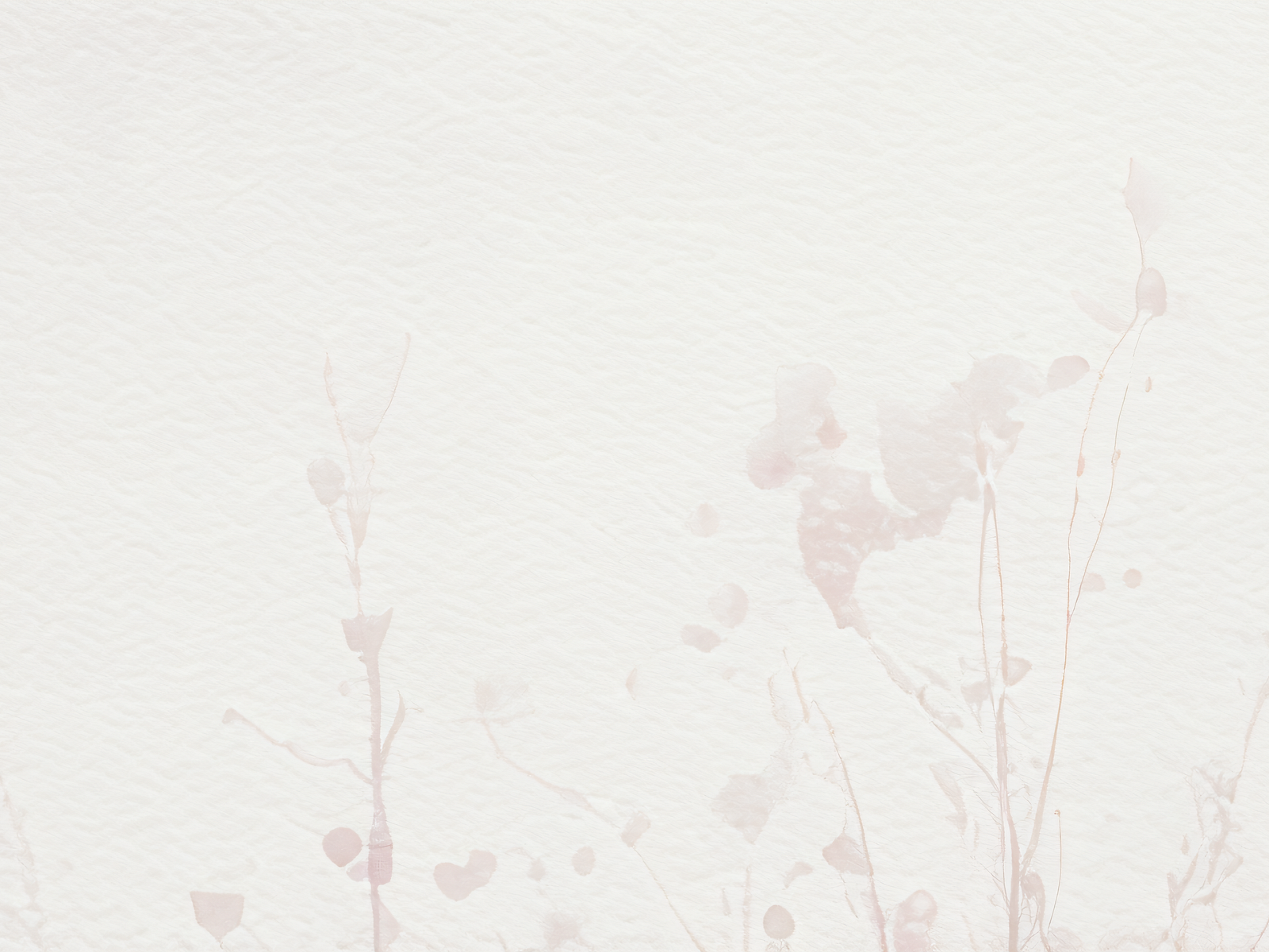 Background Design Concept by Elowen on Dribbble