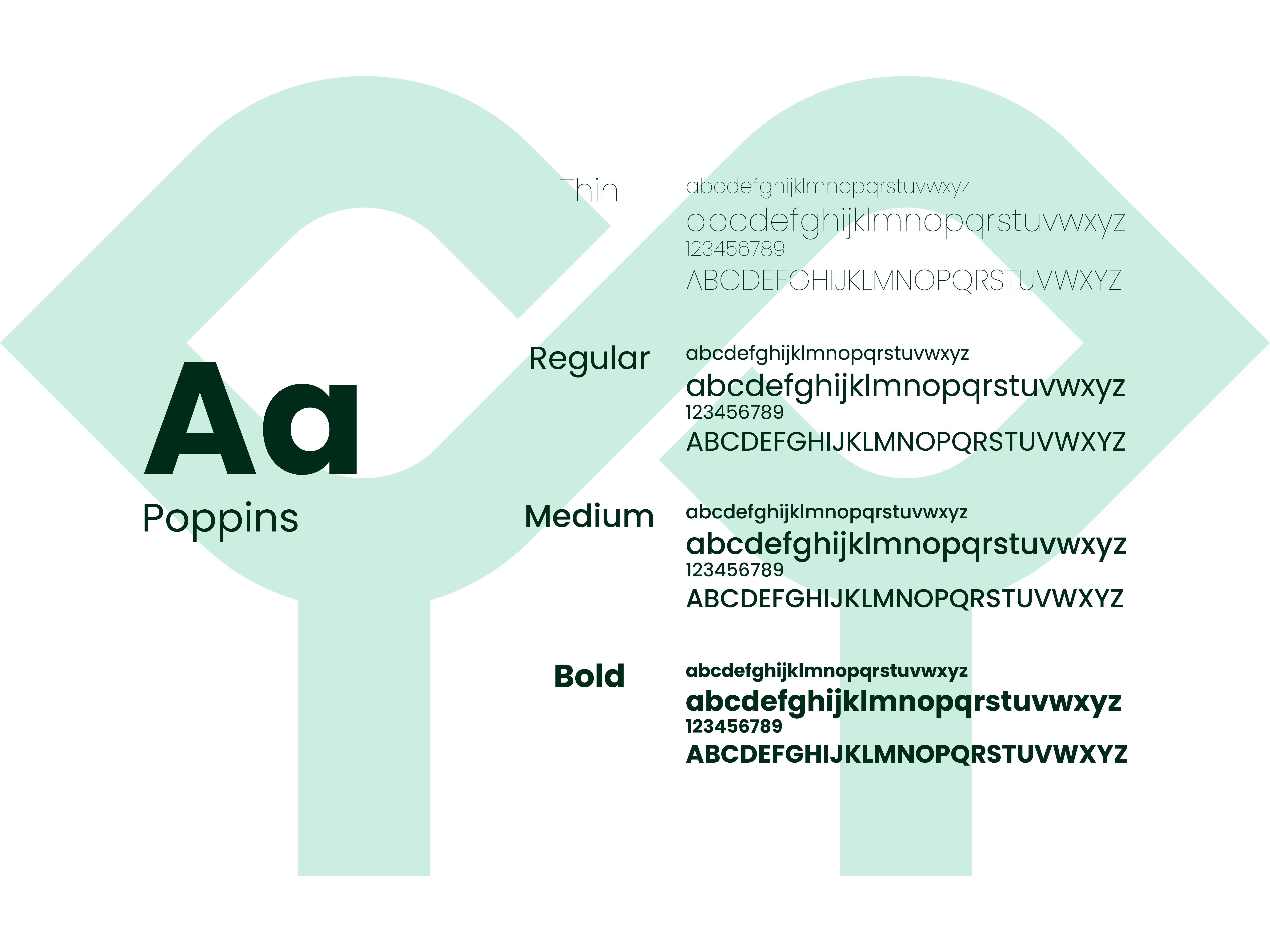 PLANT LOGO BRANDING by MD. PERVEZ HASAN RUBEL on Dribbble