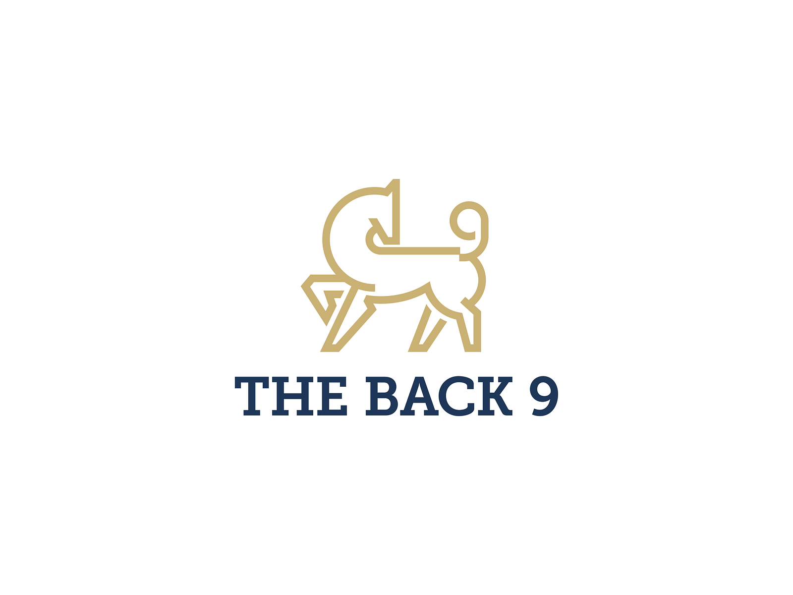 The Back 9 by Dalibor Pajic on Dribbble
