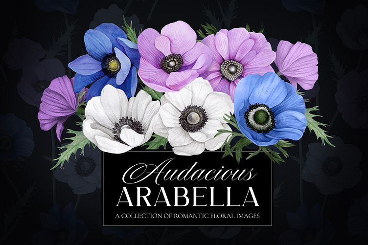 Audacious Arabella Collection by Dana Designs on Dribbble