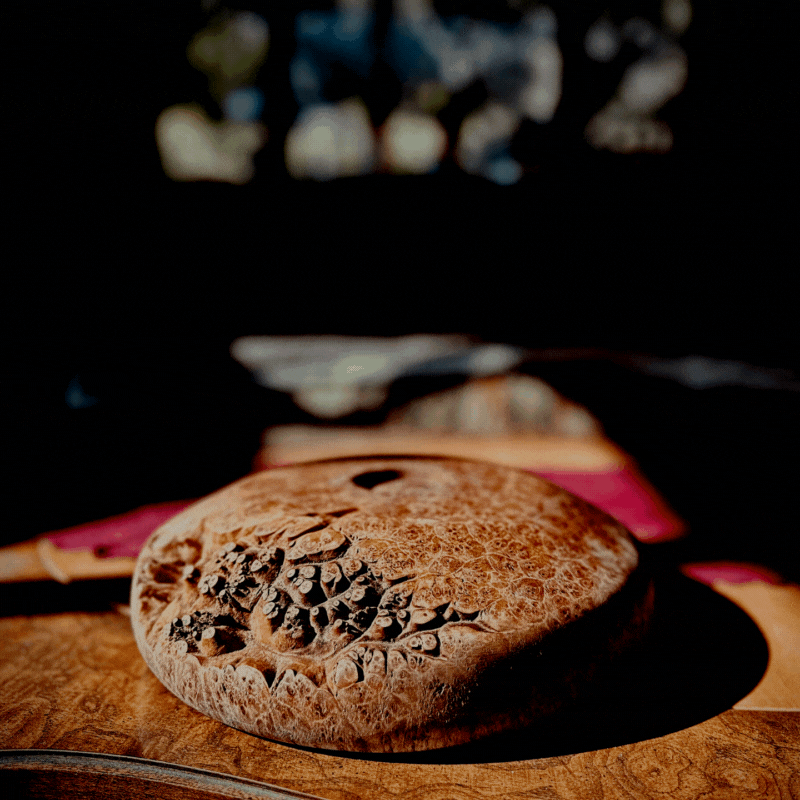 Allisin Gillott | Dribbble