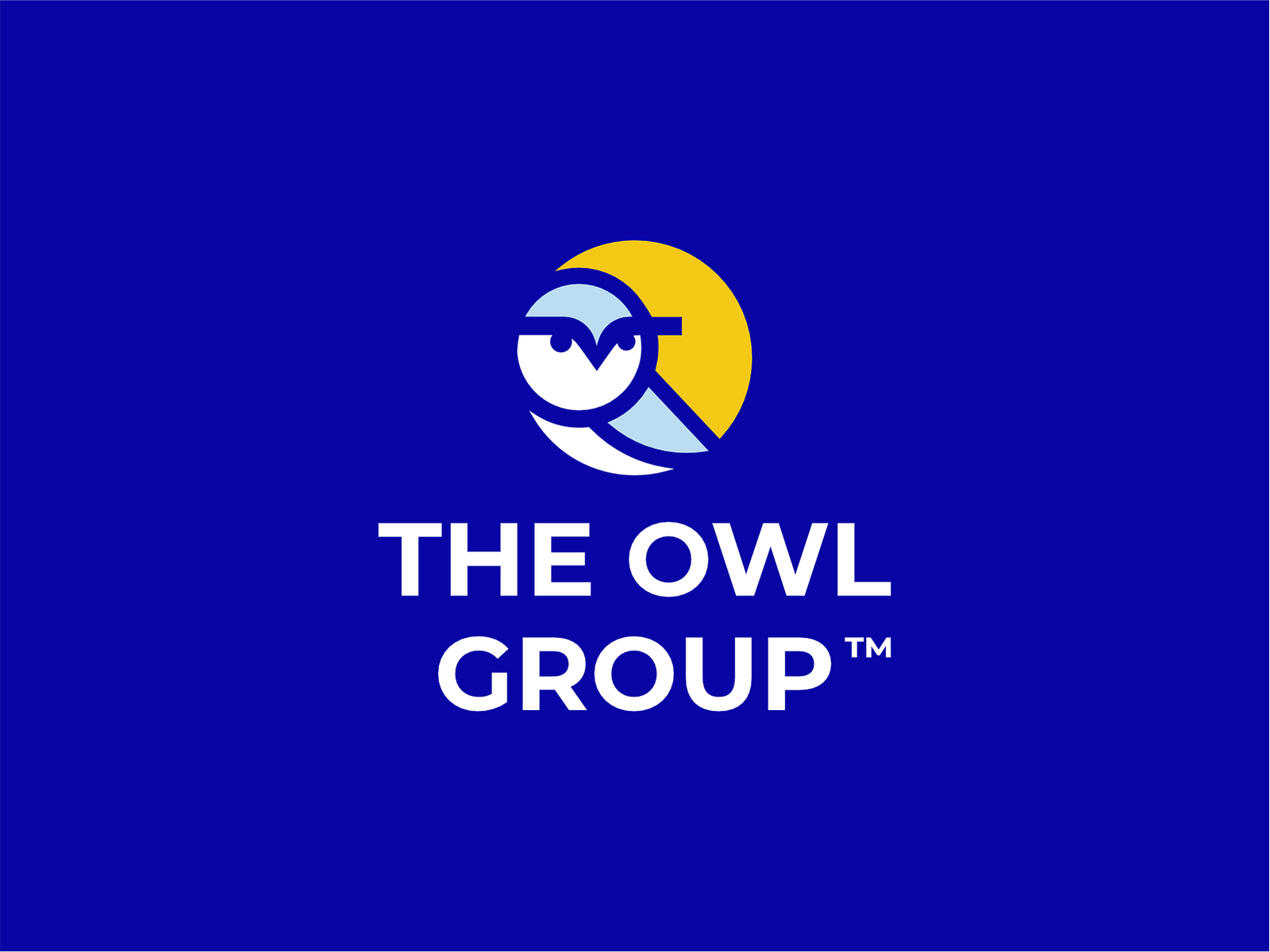 The Owl Group By Logo Design On Dribbble the-owl-group-by-logo-design-on-dribbble
