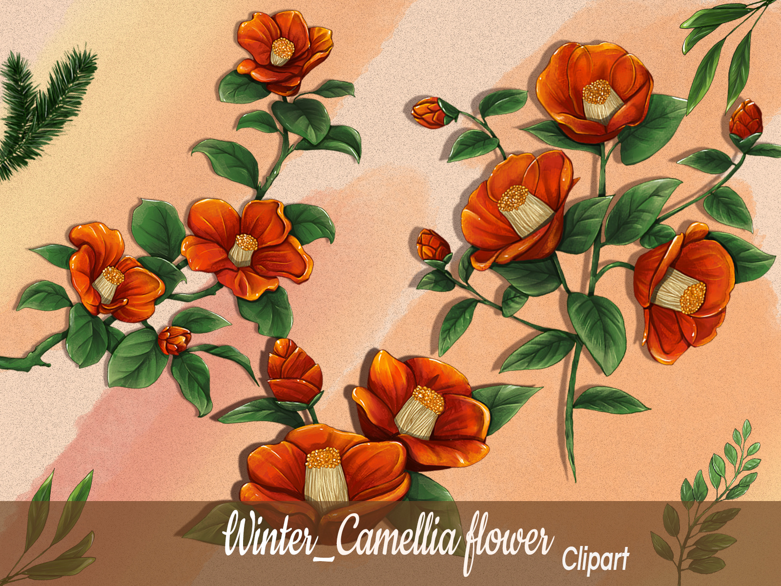 Winter illust _ Camellia Flower by YUHWA //E_mail : on Dribbble