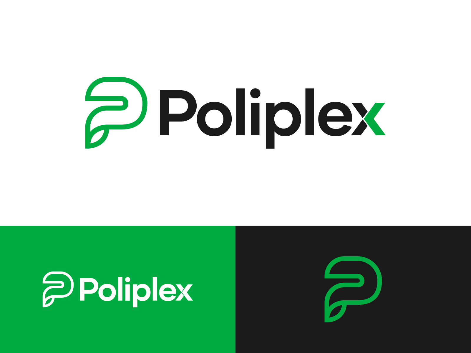 Poliplex Logo by EvoGo Designers on Dribbble