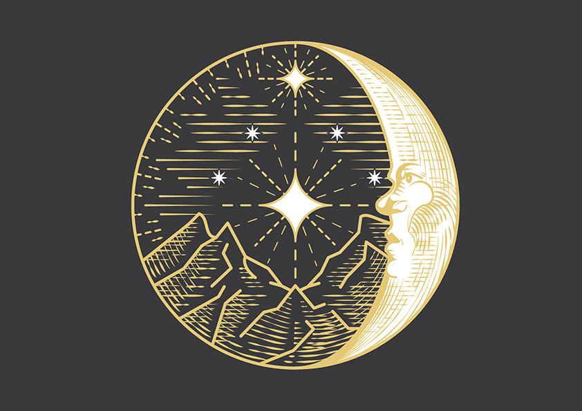 Sofia Pereira | Dribbble