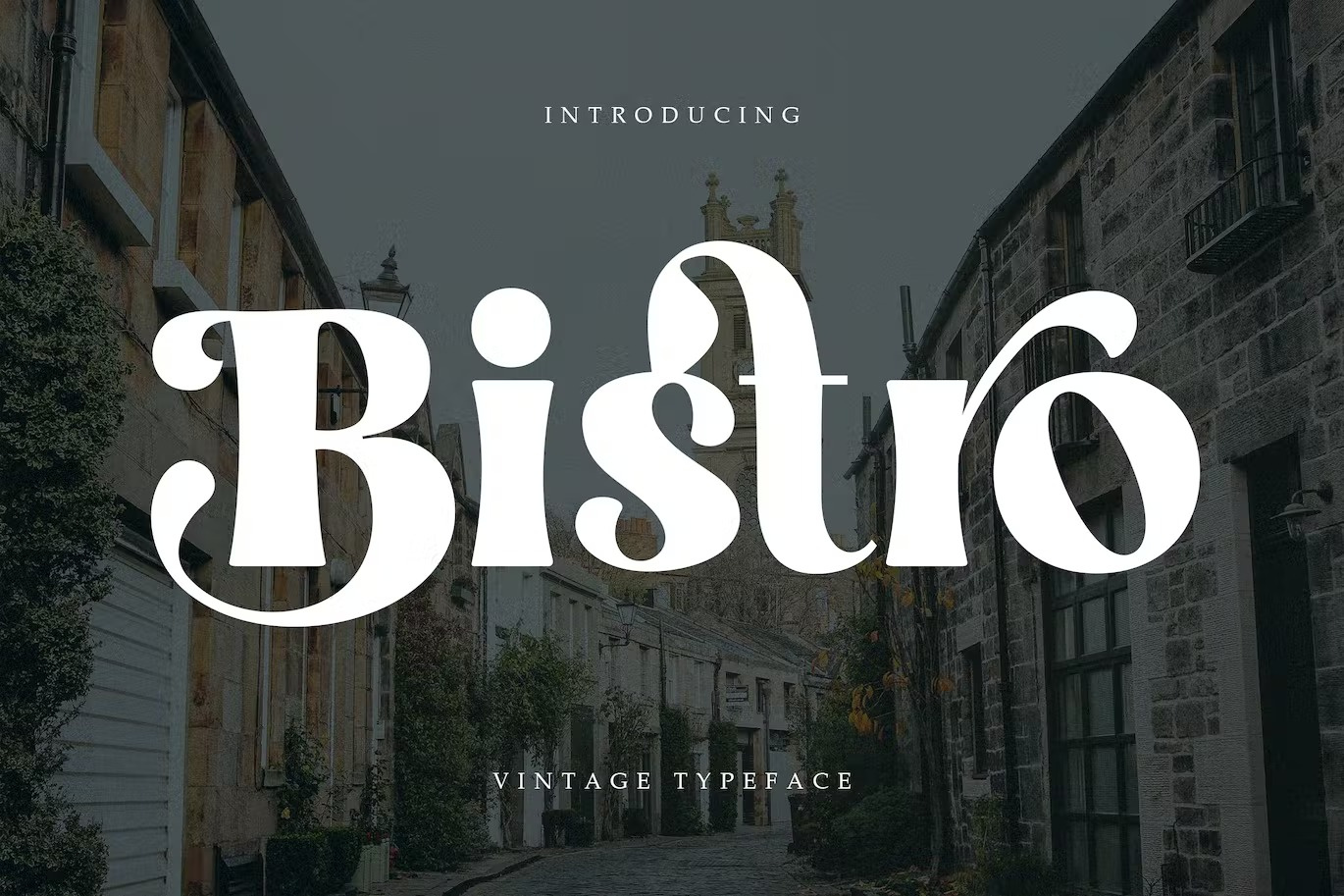 Bistro - Vintage Typeface by artimasa_studio on Dribbble