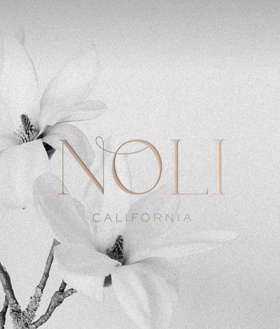 Daniela | Dribbble