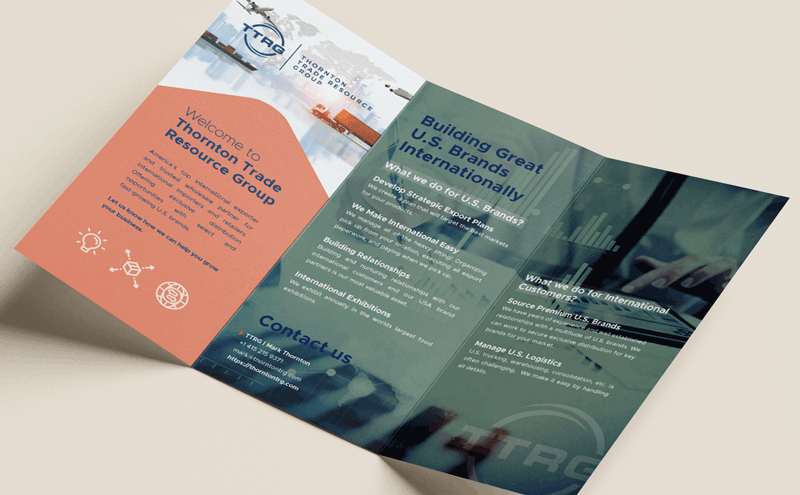 Sofia Pereira | Dribbble