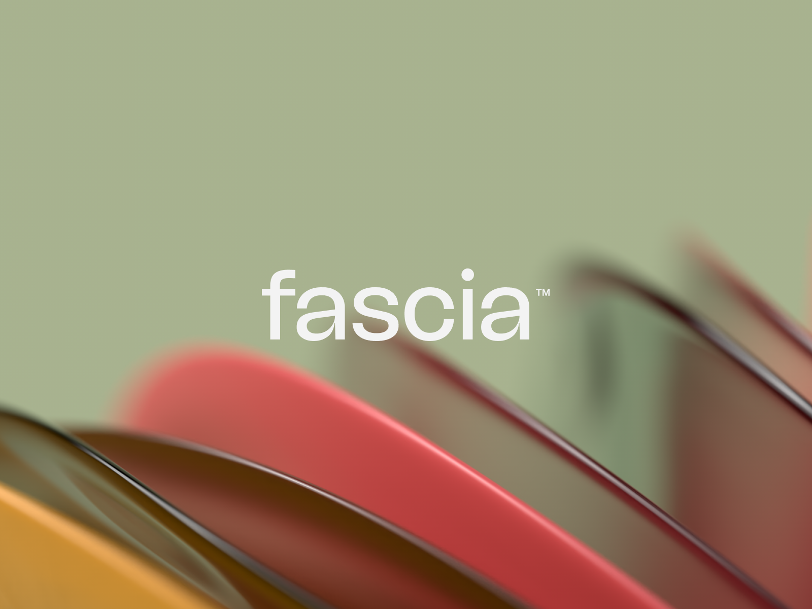 fascia • Brand Identity by VORONOI Branding Studio on Dribbble