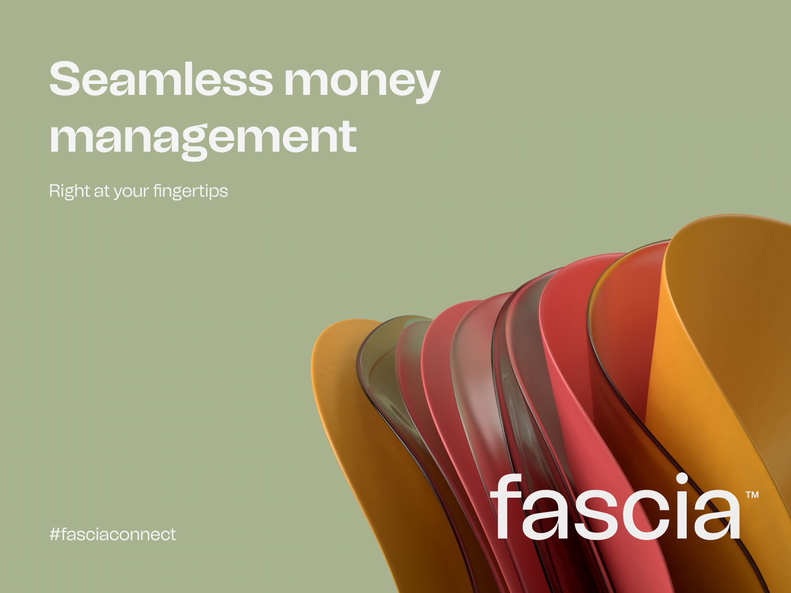 fascia • Brand Identity by VORONOI Branding Studio on Dribbble