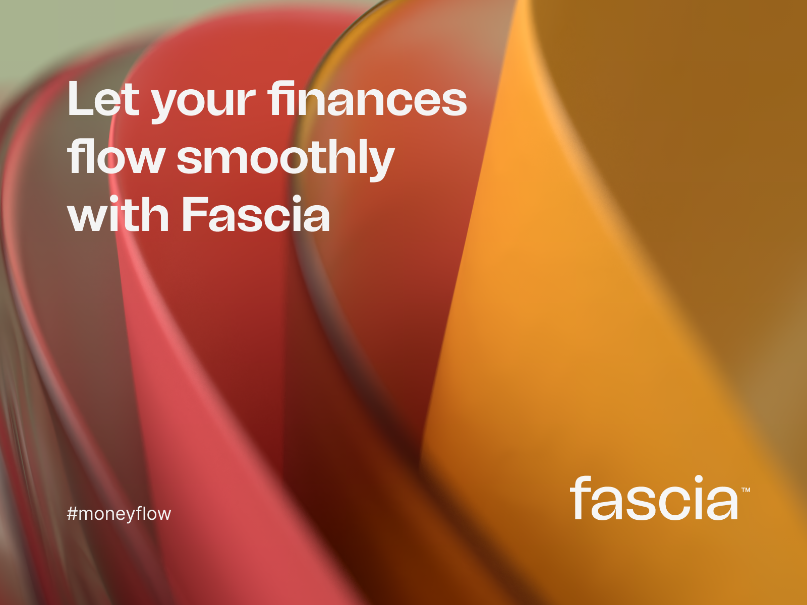 fascia • Brand Identity by VORONOI Branding Studio on Dribbble