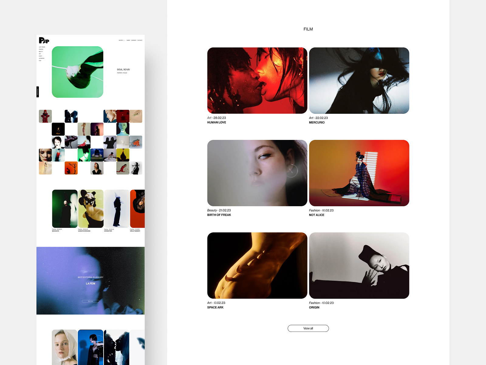 PAP MAGAZINE - REDESIGN CONCEPT by Irina Dyuzheva on Dribbble