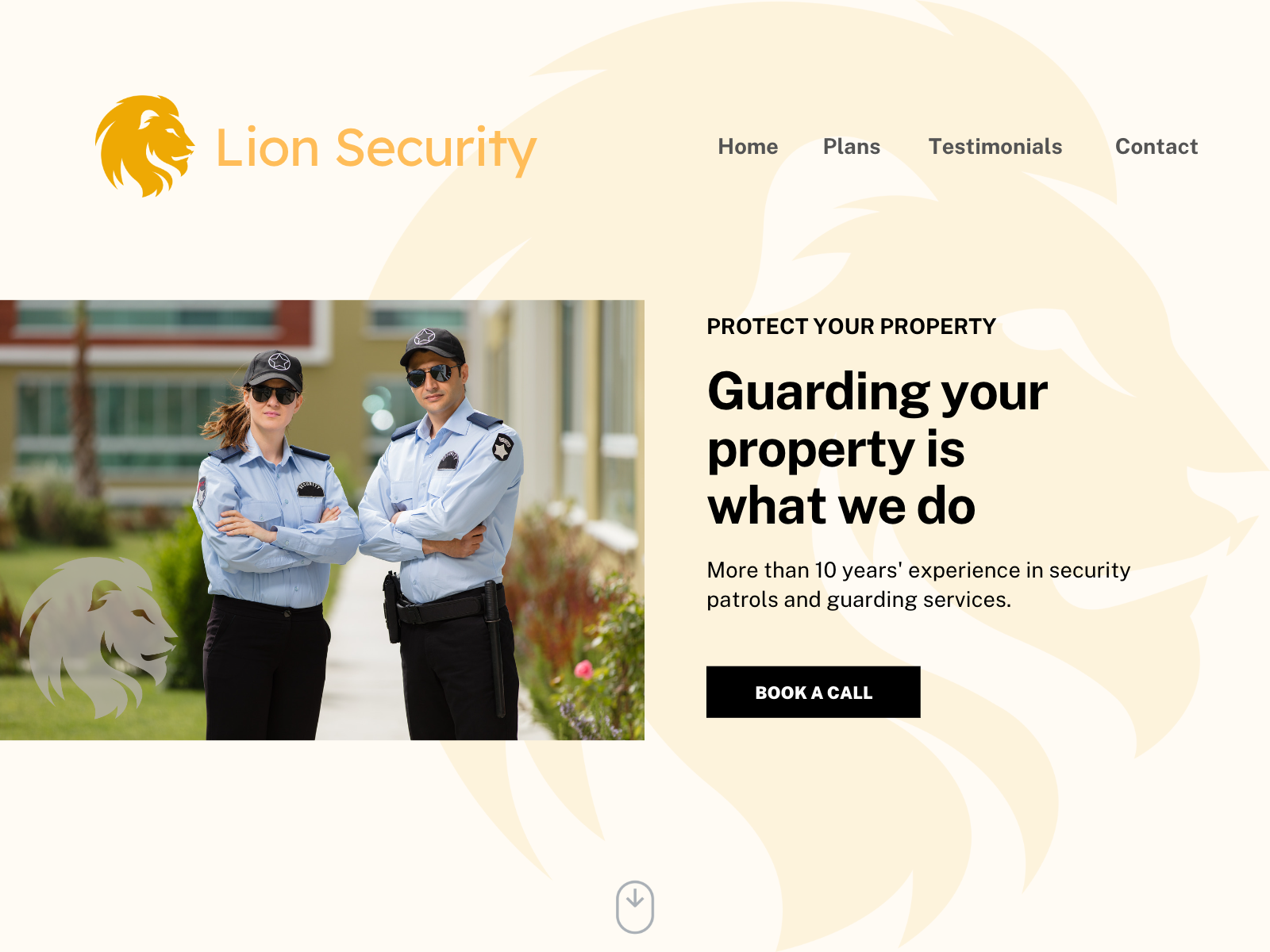 Security Company Website Mockup by Peter A. on Dribbble