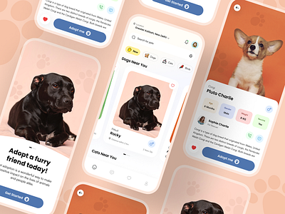 Pet Adoption App Concept 🐶💕 by Urvashi Kaushik for Hybreed on Dribbble