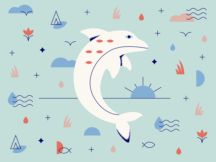 Browse thousands of Dolphin images for design inspiration | Dribbble