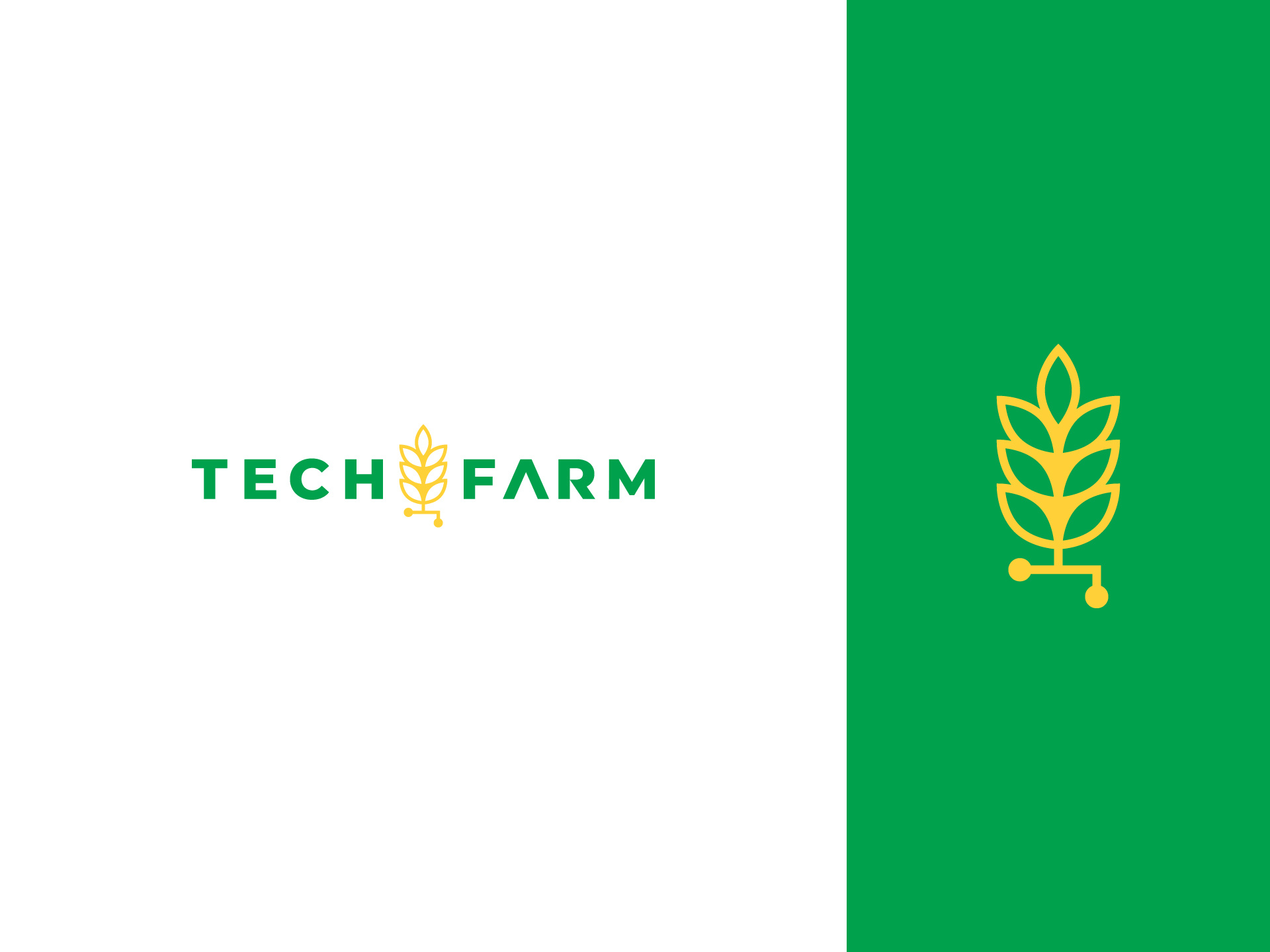 Techfarm by Laurentiu Pal on Dribbble