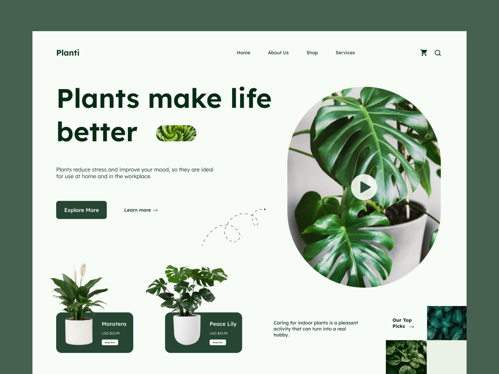 Plant website design by Omor for Tophats on Dribbble