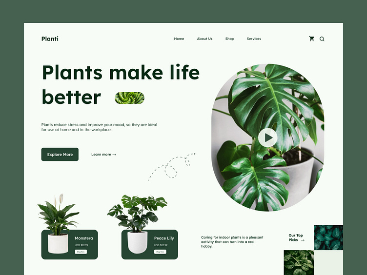 Plant website design by Omor for Tophats on Dribbble
