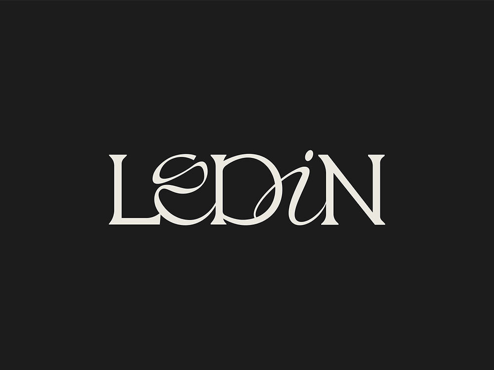 LEDIN LOGO and Branding Design by Muhammad Hashim on Dribbble