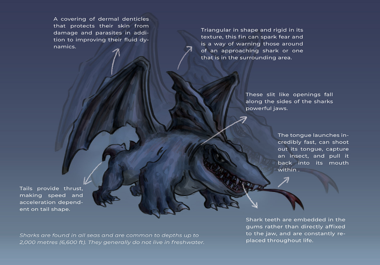 Creature Design Project By Kim Trang On Dribbble