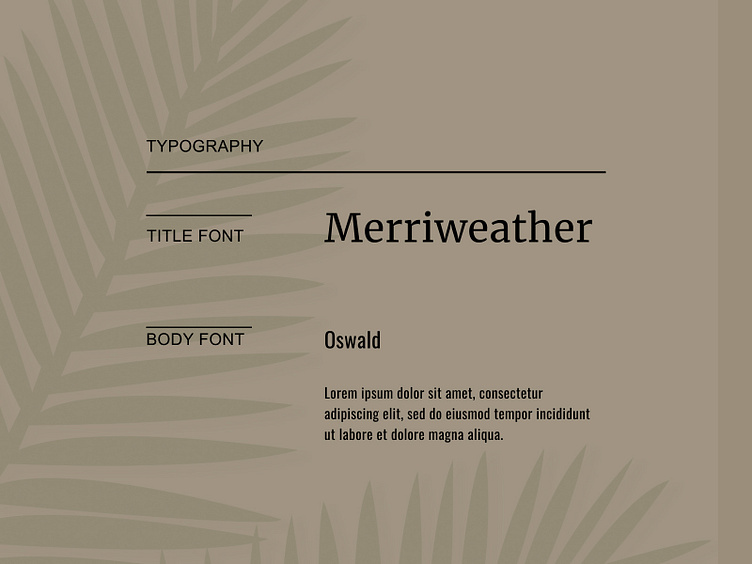 Fonts by AddWebSolution on Dribbble