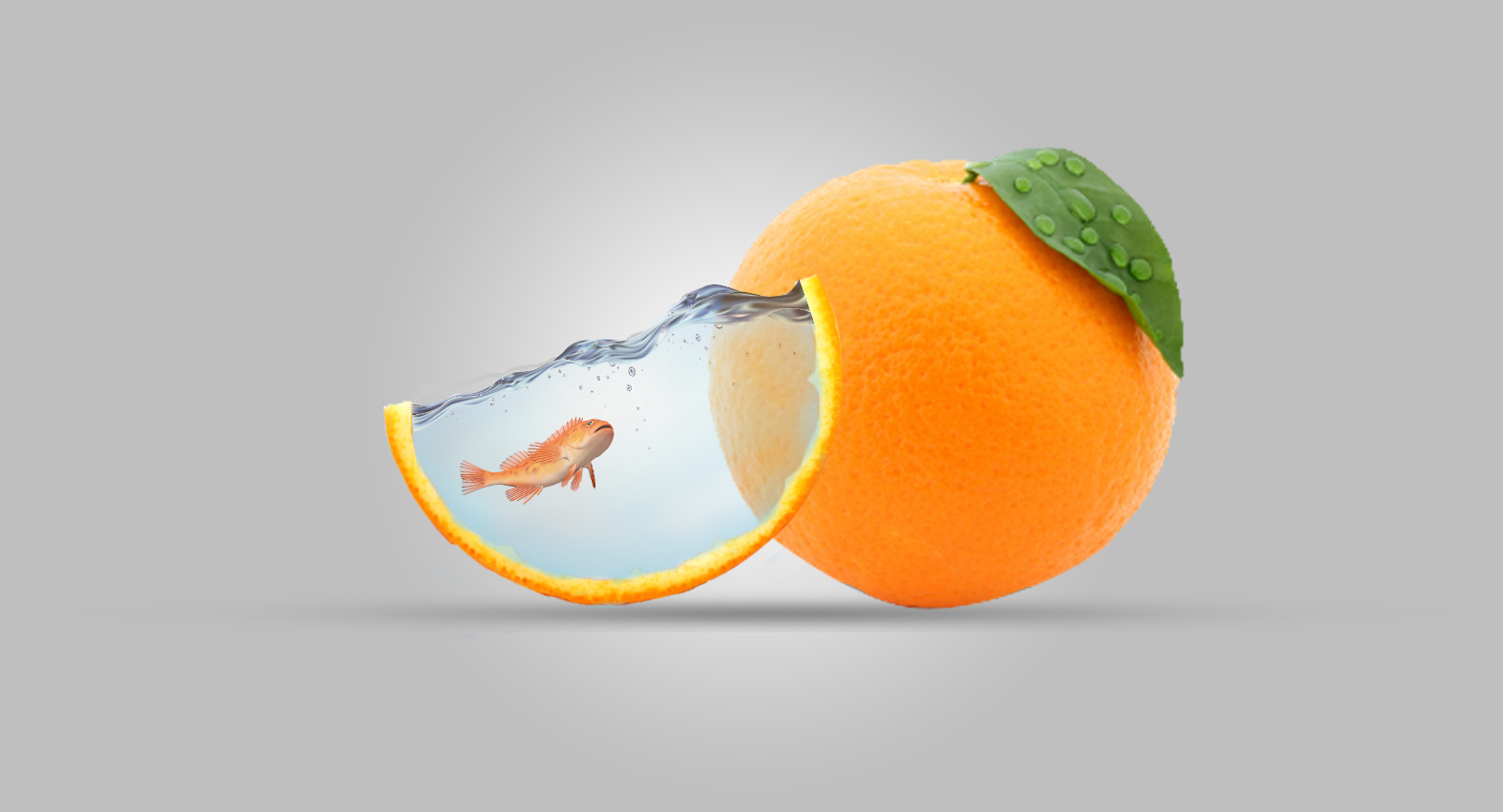 Aquarium manipulation by ashutosh on Dribbble