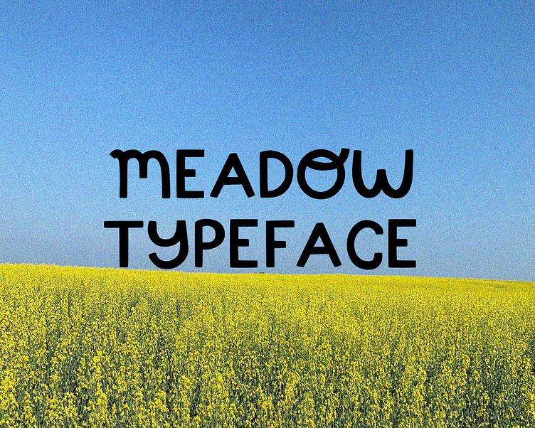 Meadow Typeface by CA Merkle on Dribbble
