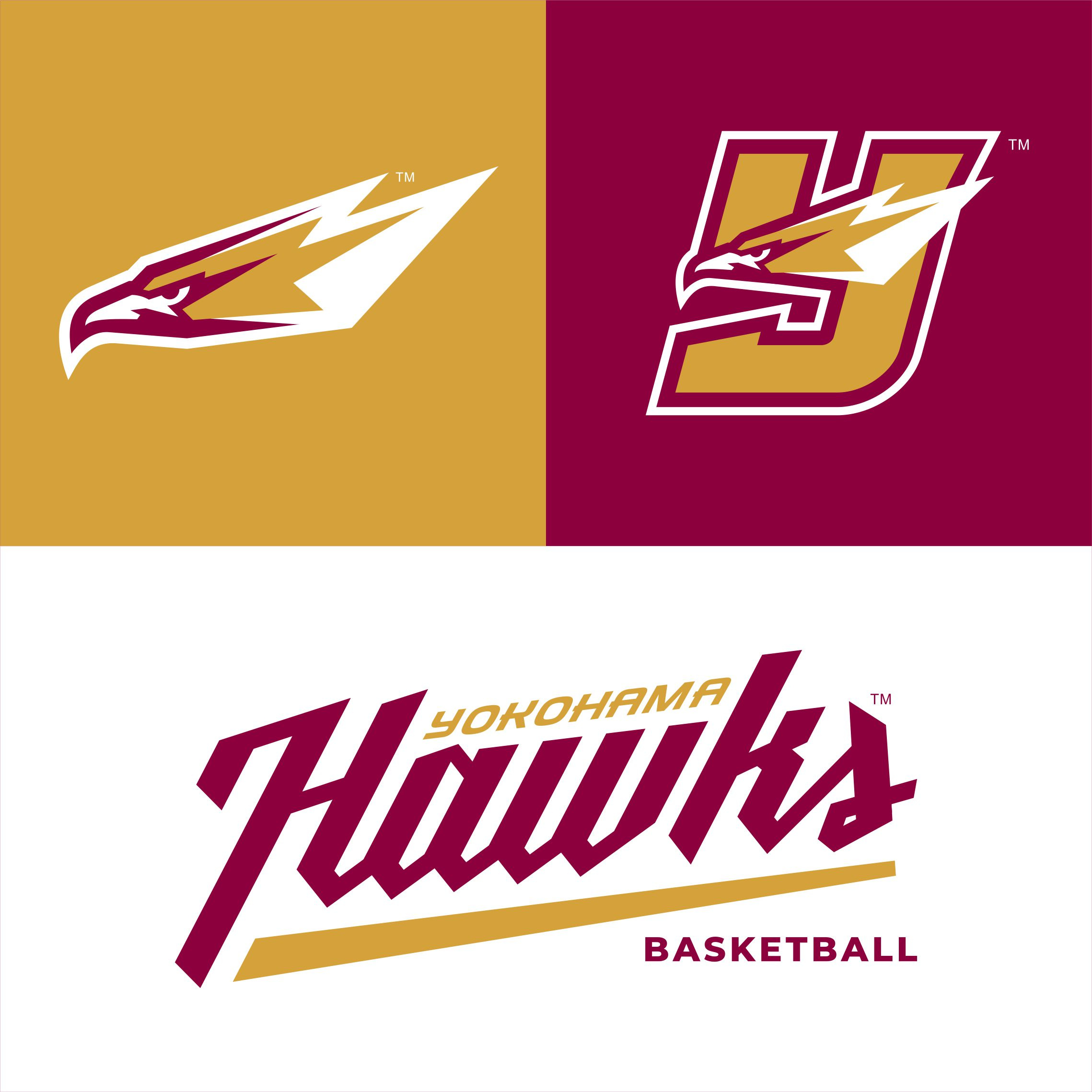 HAWKS LOGO by Dckydesign on Dribbble