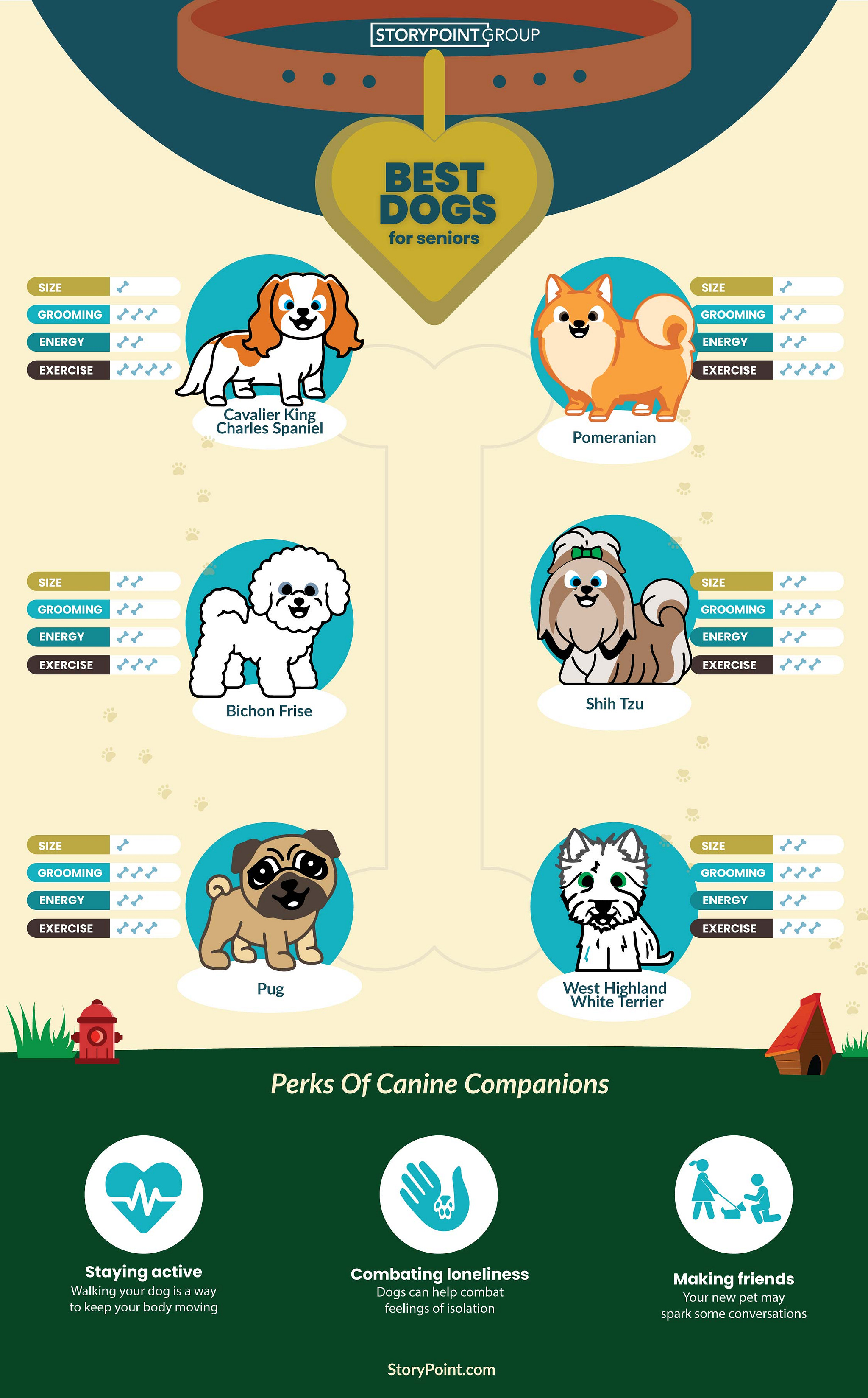 Pet infographic for blog by William McKinnon on Dribbble