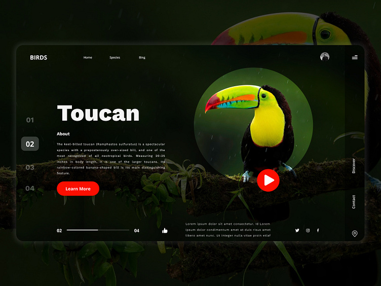 Birds Landing Page by Vivek Kaklotar on Dribbble Birds Landing Page by Vivek Kaklotar on Dribbble