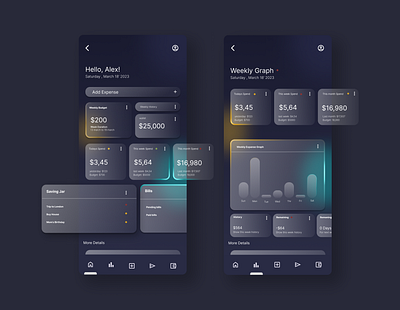 Money Tracker App UI Design by Honey Hexa on Dribbble