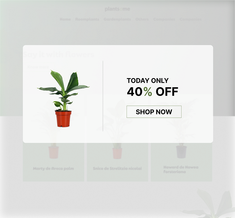 Discount overlay ecommerce shop by Johan van Gurp on Dribbble