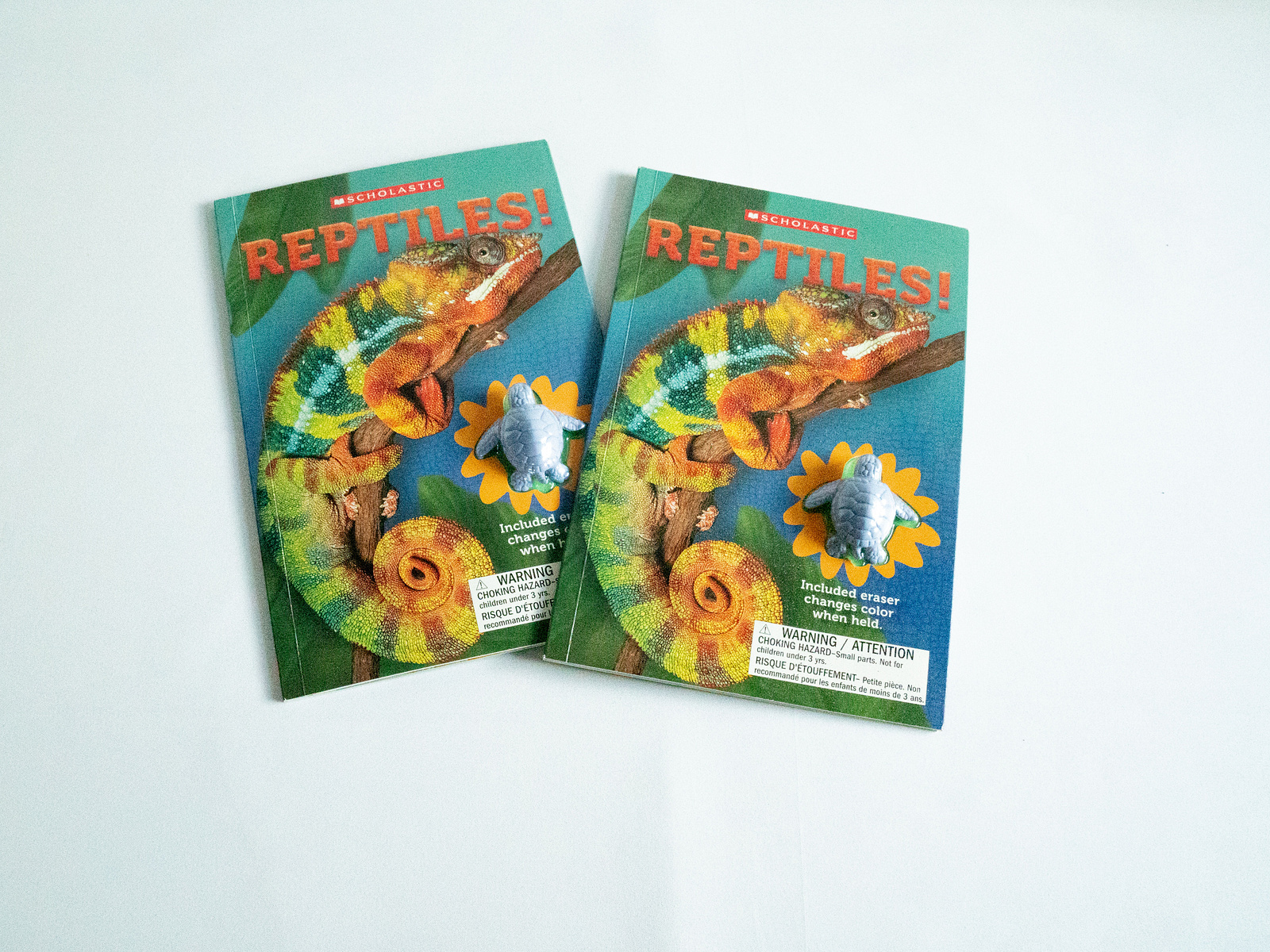 Reptiles! Book Design by Alexa Ponce on Dribbble