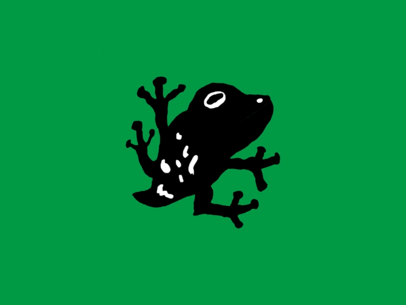 Frog {GIF} by Shinsuke Matsumoto on Dribbble