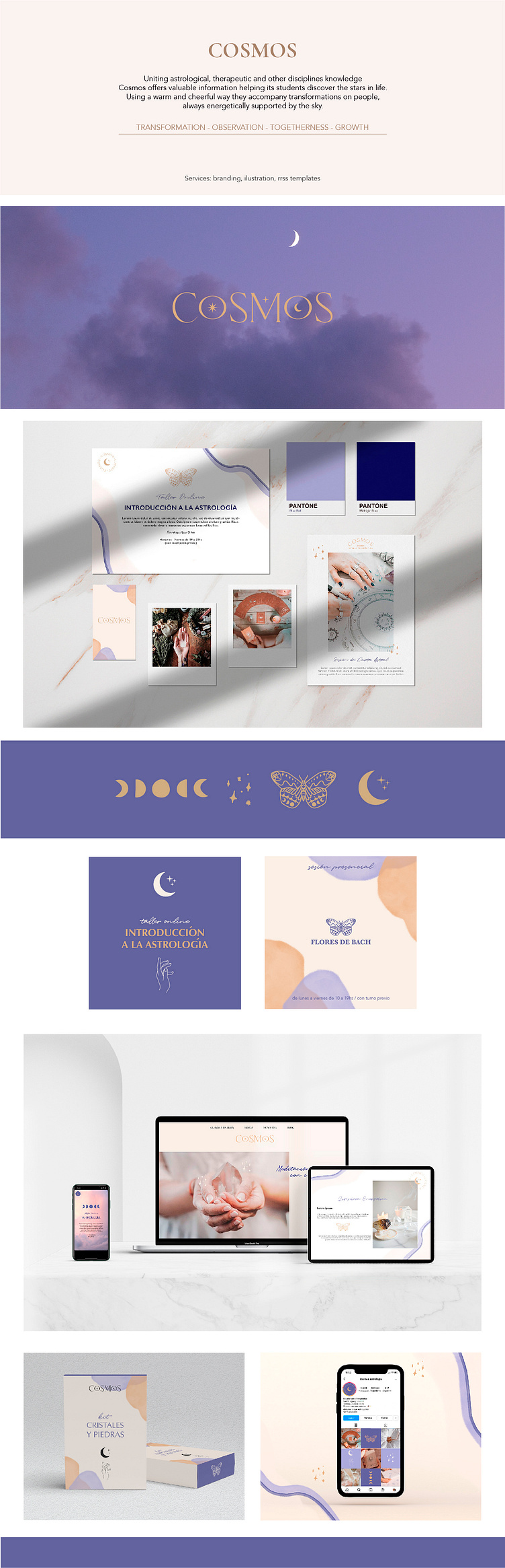 Branding design - Cosmos by Agustina Linares on Dribbble