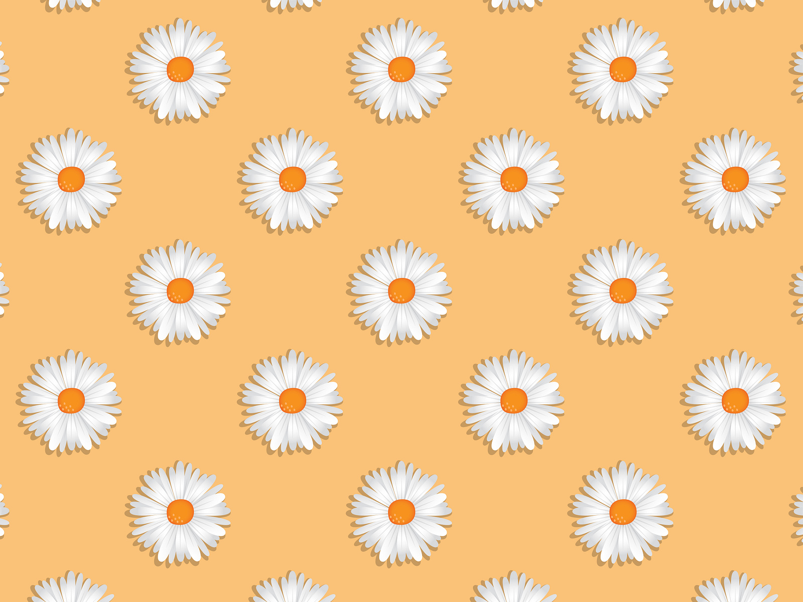 oxeye daisy seamless pattern by Izzul Fikry ( on Dribbble