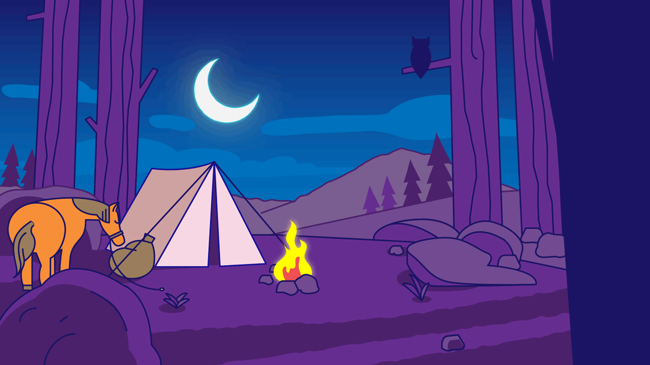 Sofia Pereira | Dribbble