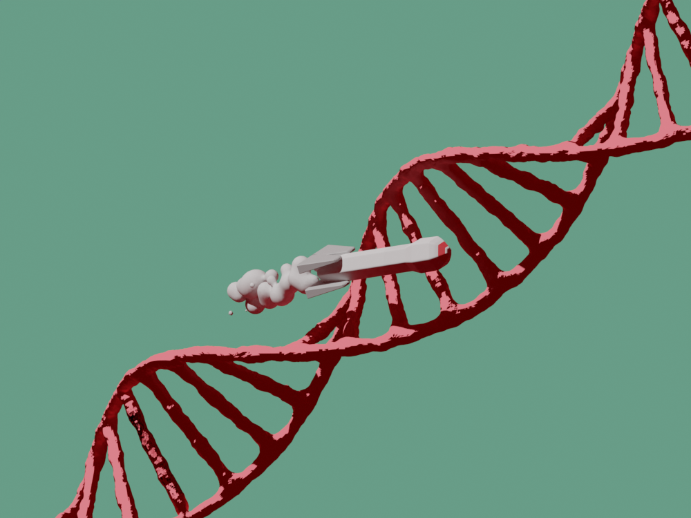 Science Dna/Rocket by Geoffroy Allanic on Dribbble