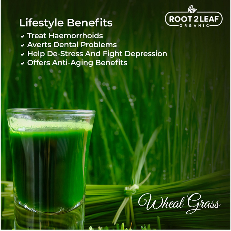Nutrition & Benefits - WheatGrass by AVW Storytellers Digital on Dribbble