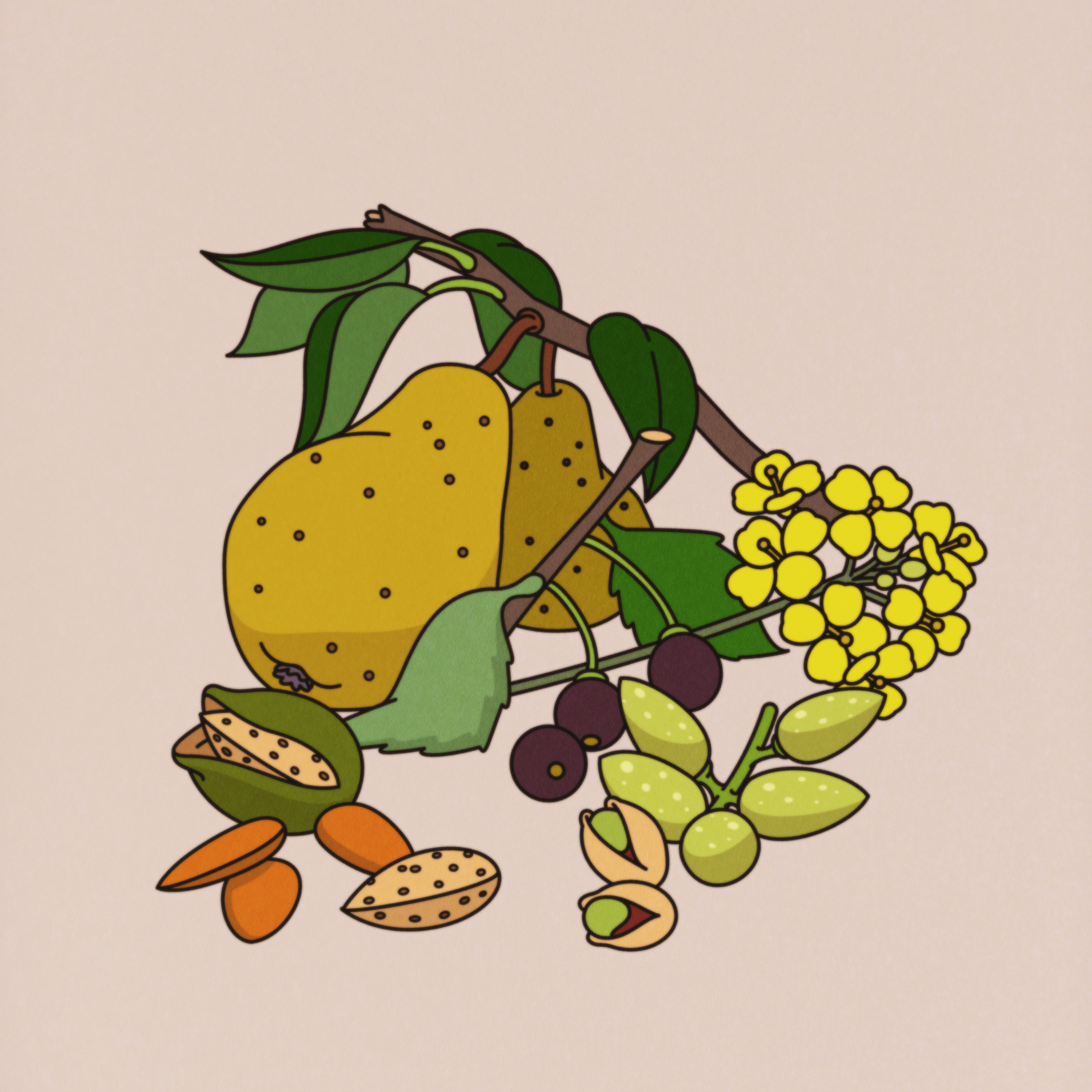 Stone Age Cuisine by Emile the Illustrator on Dribbble